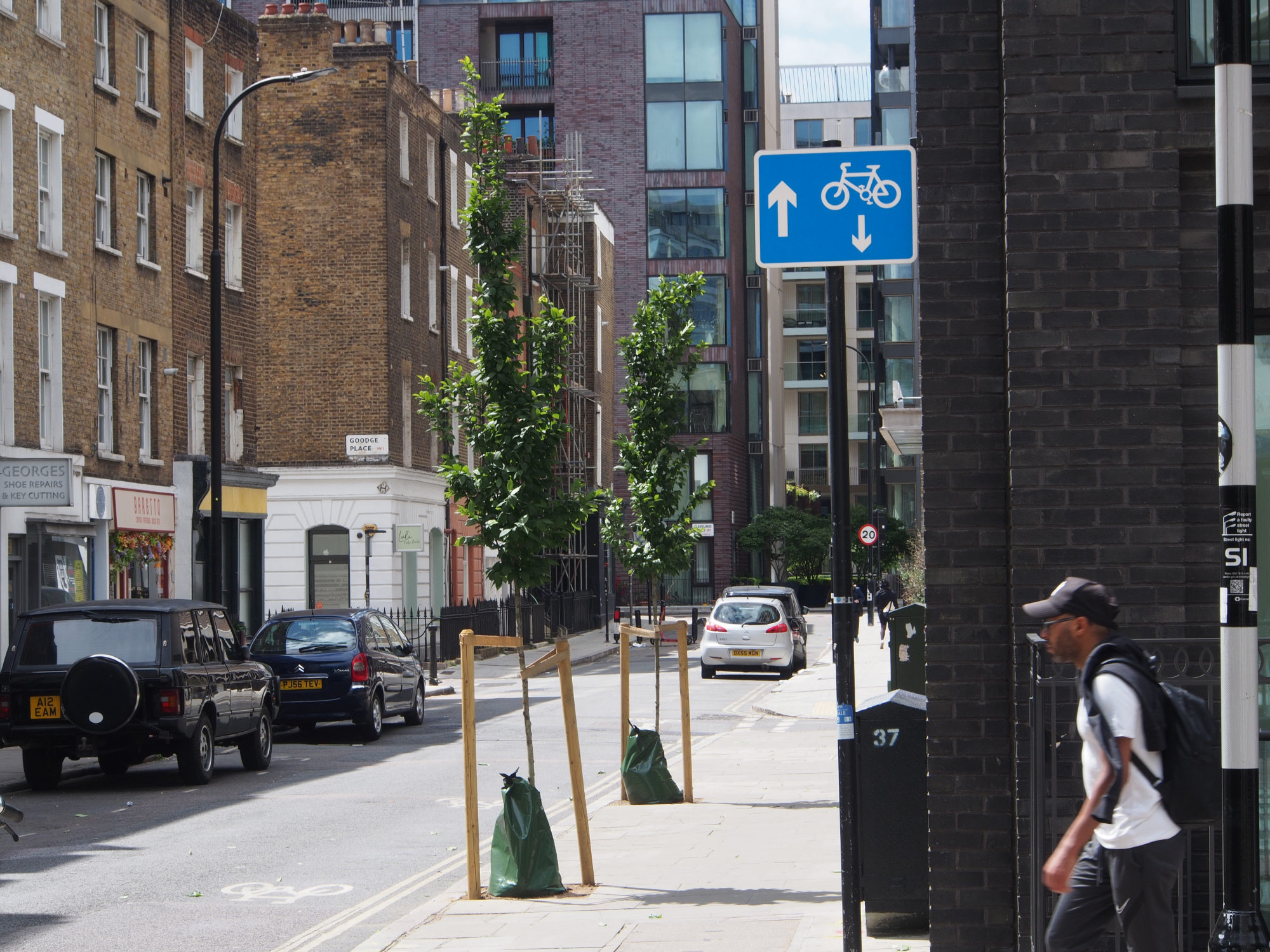 Camden Council seeks help with watering newly-planted street trees ...